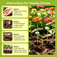 Sow throughout every season outdoors and grow thick flower patches ...