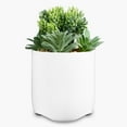 iHome PowerPlant USB Charging Station, Faux Succulent Design, White, 2 ...