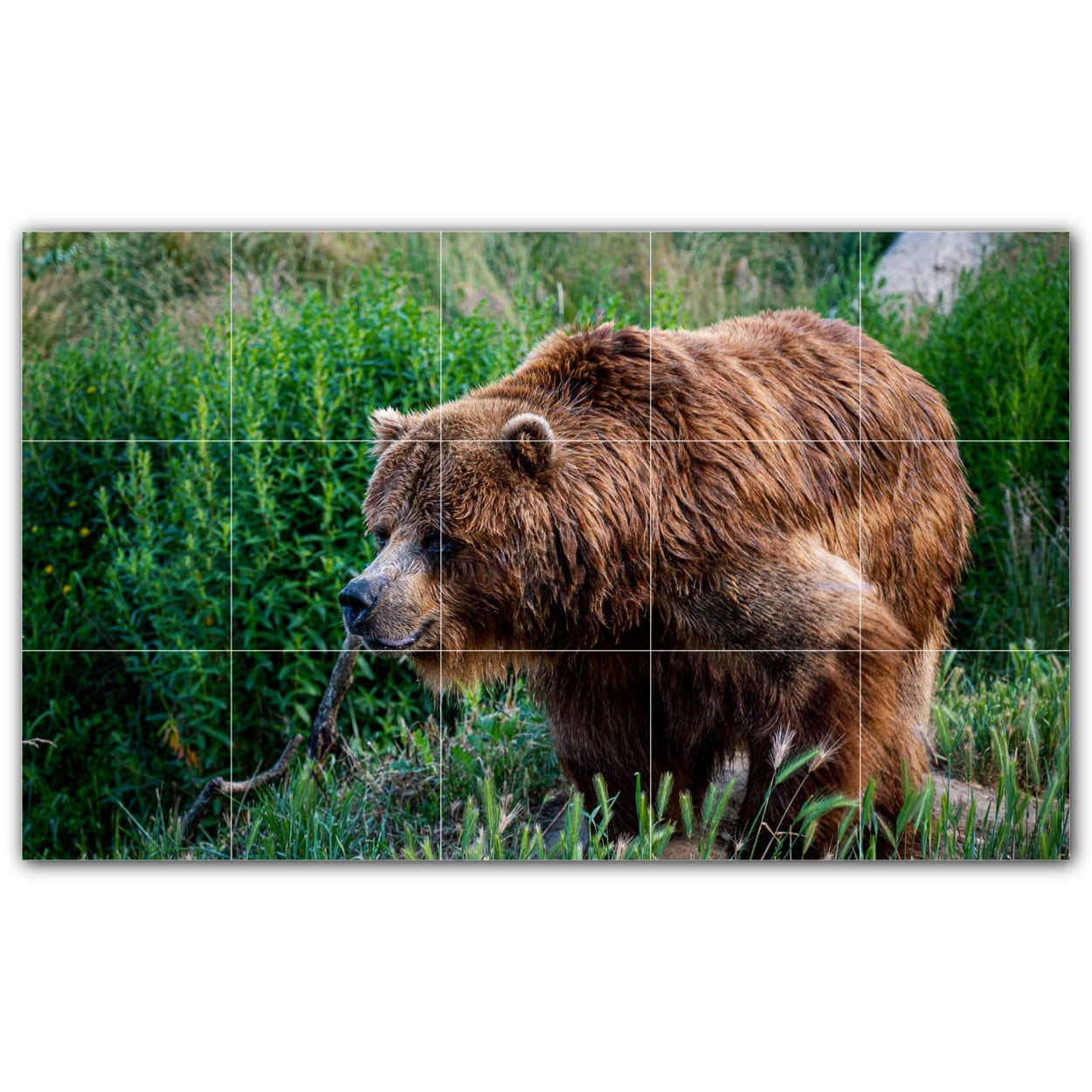 Picture-Tiles.com: Bear Ceramic Tile Wall Mural WAL500120-53M. 30"W x ...