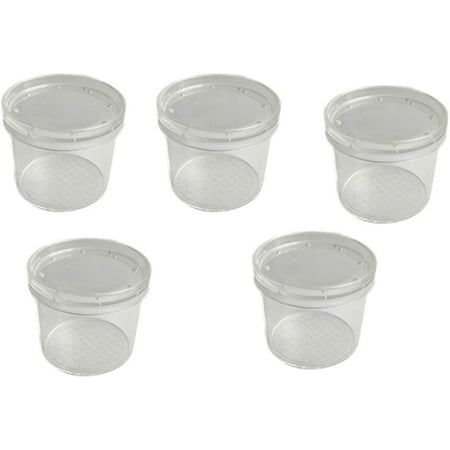 5pcs Insect Viewers Insect Bug Viewer Container Cage with Magnifier ...