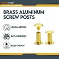 100 Pack of Chicago Screw Post Binding Screws, 10mm Brass Plated Metal ...