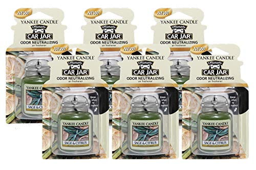 Yankee Candle Car Jar Ultimate Odor Neutralizing Air Freshener Sage ...