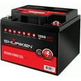 Shuriken Compact Size AGM 12V Power Cell Battery SK-BT45 - Walmart.com