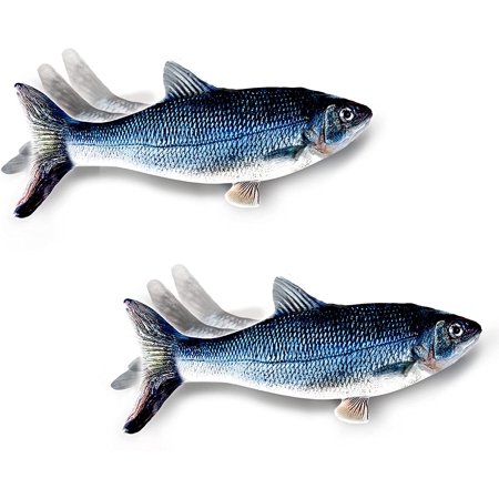 Flippity Fish Cat Toy, Flops and Wiggles Like a Real Fish, Includes ...