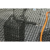 Promar Traditional Heavy Duty Shrimp 1/2" Mesh Trap - Walmart.com