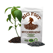 Big Foot Root Boost Azospirillum - Naturally Promotes Rooting, Grow New ...