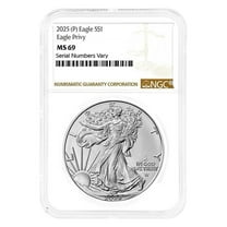 2013 (S) American Silver Eagle MS-69 NGC (Early Releases) - Walmart.com