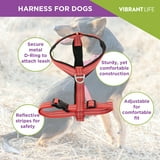 Vibrant Life Red Weave Neoprene Padded Step-in Dog Harness, Size Medium ...