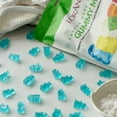 LorAnn Gummy Candy Mix Kit with Citric Acid and Flavor Ideas - Walmart.com