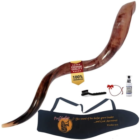 34"-37" Set Half Polished Kosher Kudu Shofar from Israel, Plus Bag ...