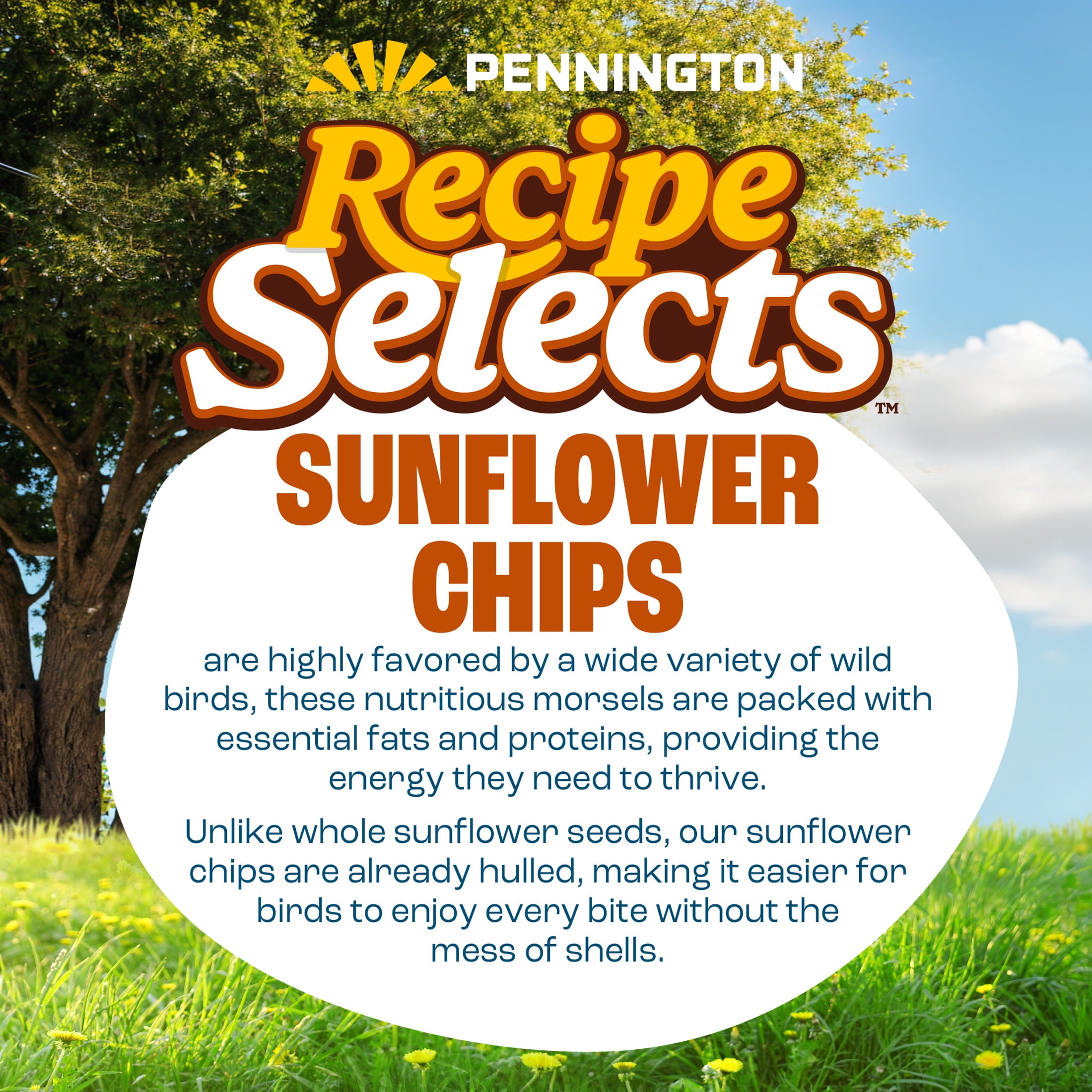 Pennington Recipe Selects Sunflower Chips, Dry Wild Nepal | Ubuy
