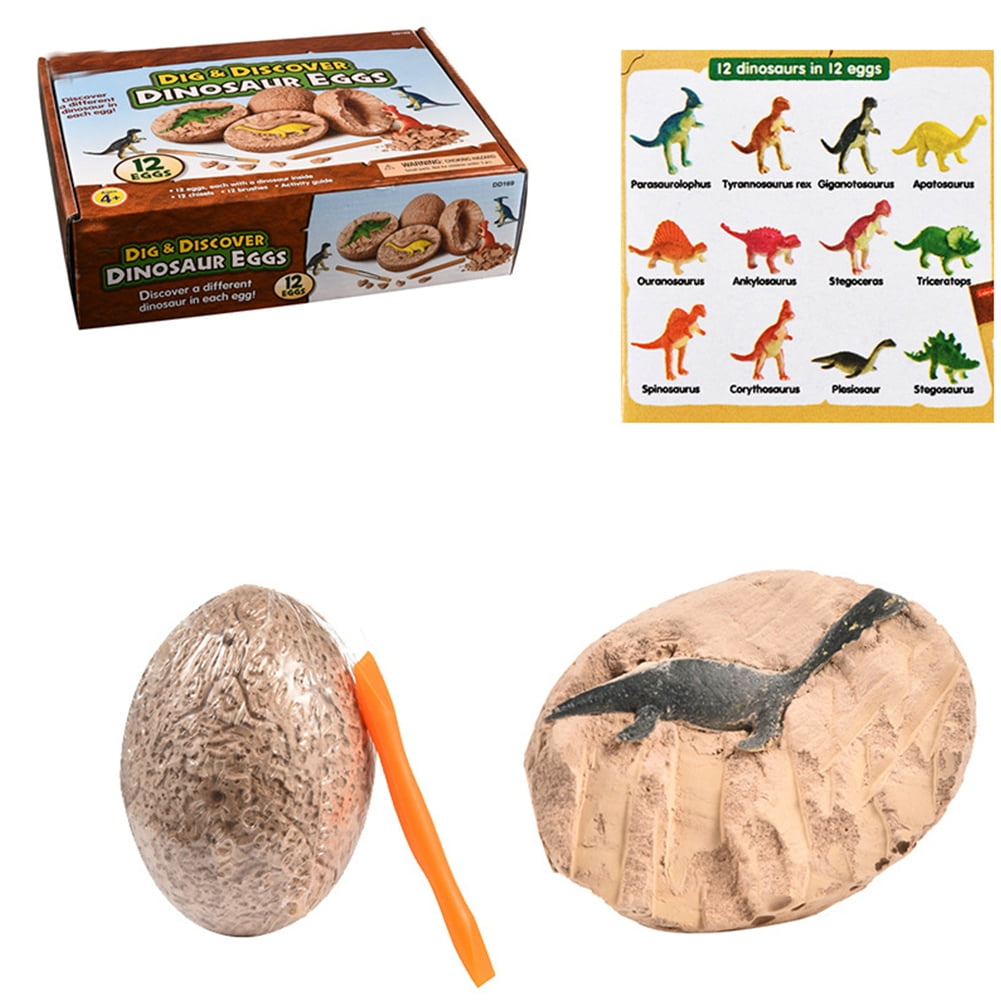 Dino Eggs Excavation Set of 12 Dinosaurs Fossil Dig Up Kit Archaeology ...