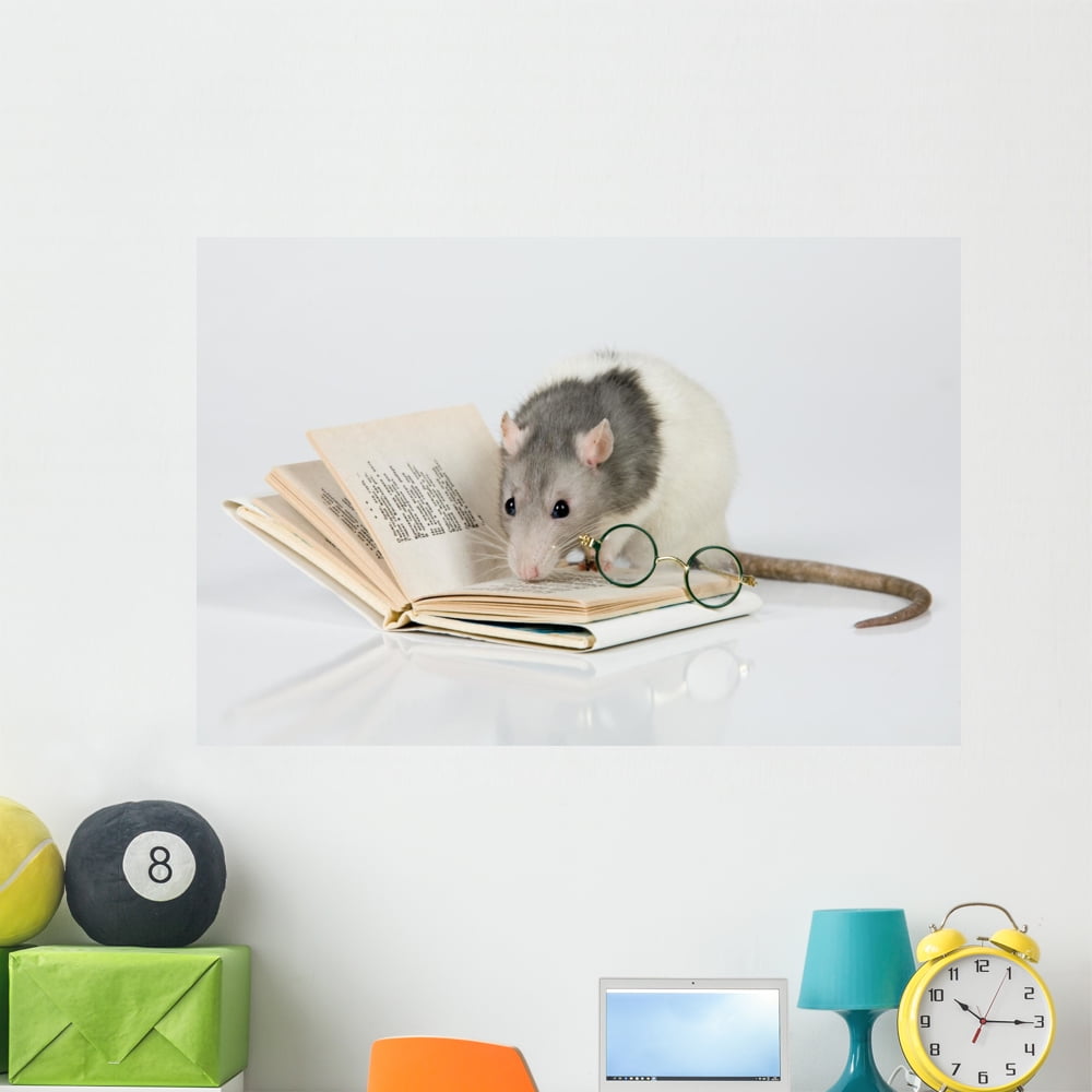 Reading Rat Wall Mural by Wallmonkeys Peel and Stick Graphic (48 in W x ...