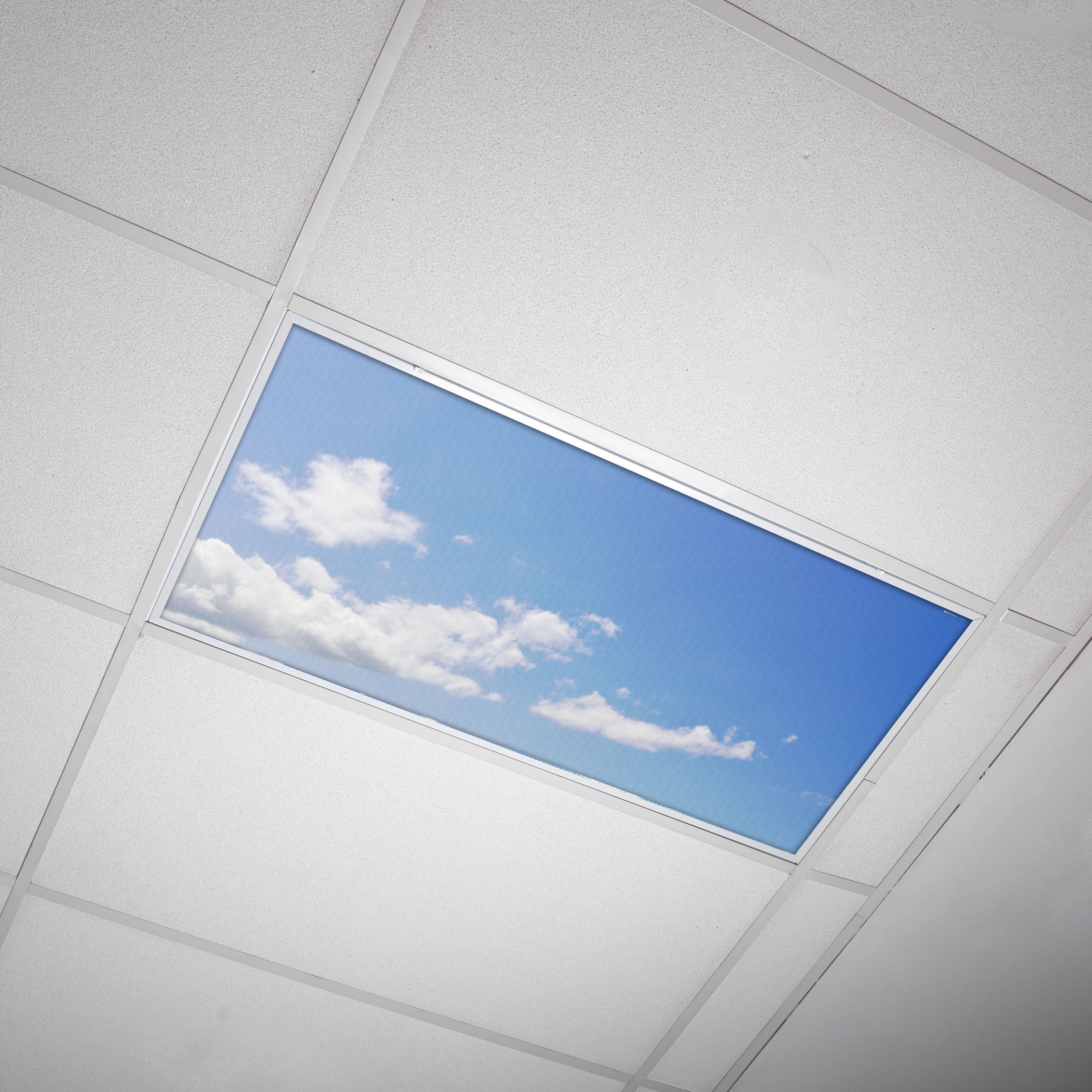 Octo Lights - Fluorescent Light Covers - 2x4 Flexible Ceiling Light ...