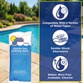 In The Swim Chlorine-Free Pool Shock, Quick Dissolving Oxidizer, 12 x 1 ...