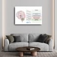 Brain Study Neural Science Educational Poster Classroom Research ...