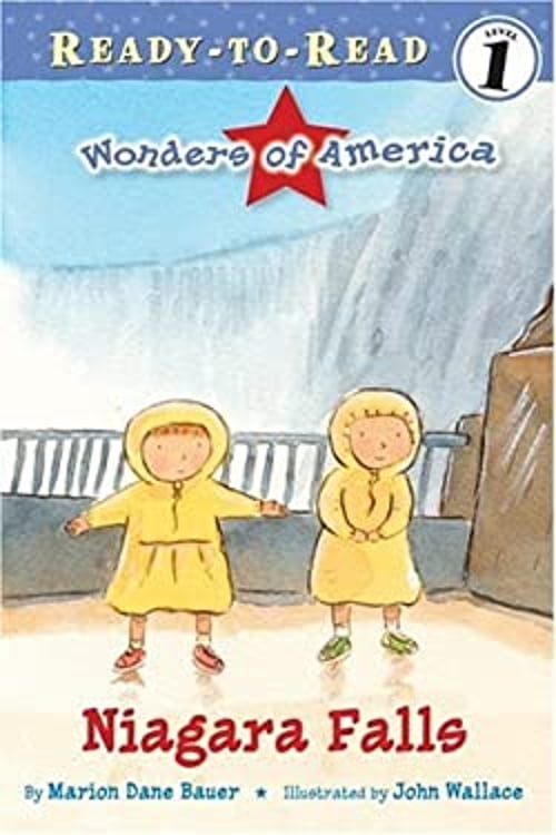Pre-Owned Niagara Falls (Library Binding) 9780689869457 - Walmart.com