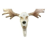 Ebros Gift Bull Moose Skull Wall Decor, 22" Wide Resin Sculpture ...
