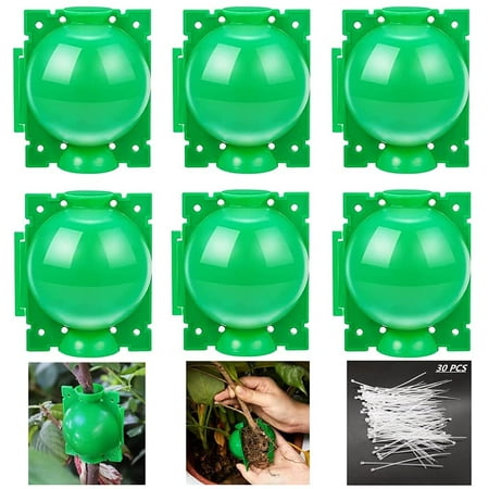 Plant Root Growing Box, Reusable Plant Rooting Device Plant Rooting ...