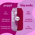 POPPI Sparkling Prebiotic Soda, Gut Health & Immunity, Cider Vinegar ...