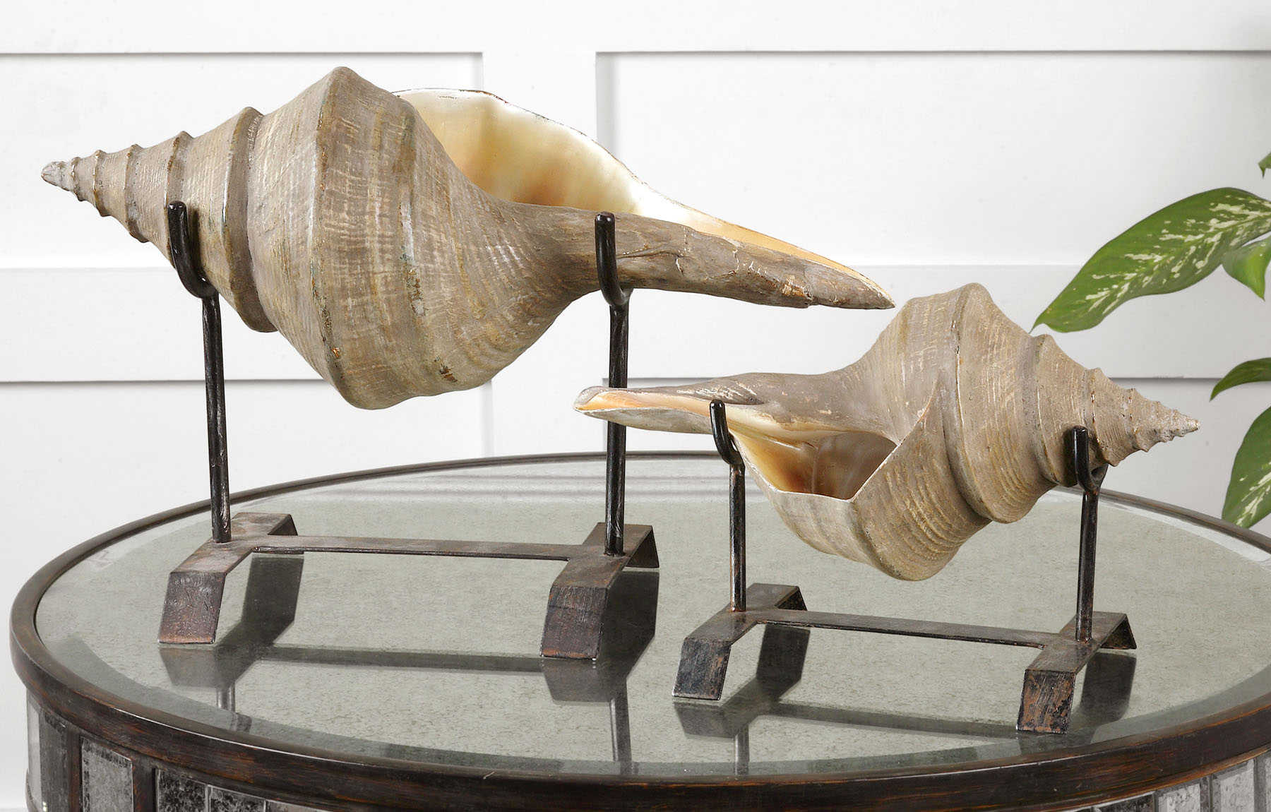 Uttermost Conch Shell Sculpture, Set/2 - Walmart.com
