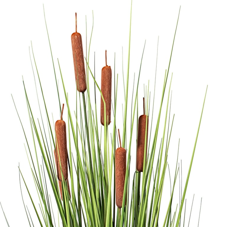 Artificial Cattail Stems Vickerman 48 In. Artificial Potted Green