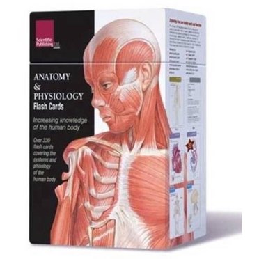 Moore's Clinical Anatomy Flash Cards (Other) - Walmart.com