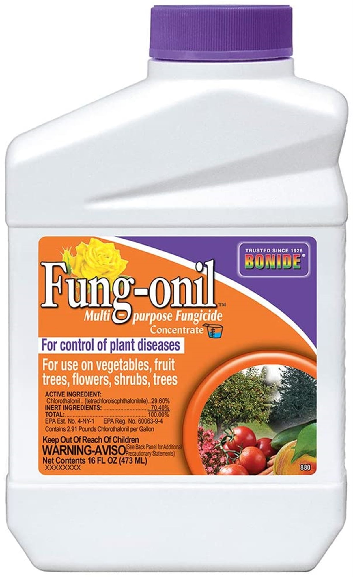 Bonide Fungal Disease Control, Fung-onil Multi-Purp Fungicide ...