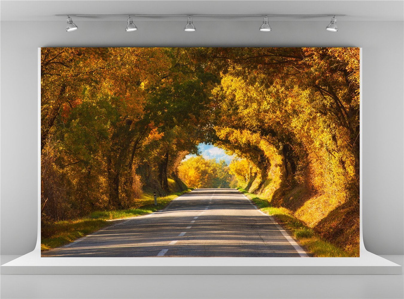 MOHome 7x5ft Autumn Photo Background Nature Scenery Road Backdrops ...