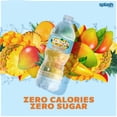 Splash Refresher Fruity Pineapple Mango Flavored Water Drink, 16.9 fl ...