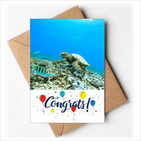 Ocean Sea Turtle Fish Science Nature Picture Wedding Cards ...
