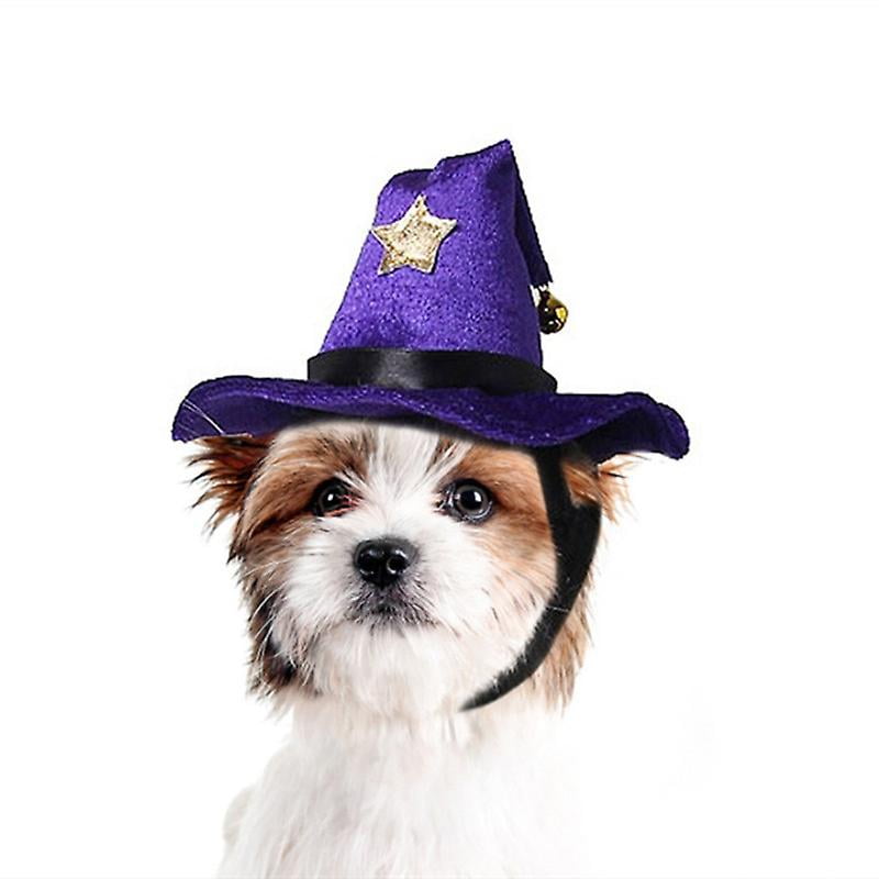 Witch Dog Wizard | ppgbbe.intranet.biologia.ufrj.br