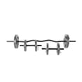 CAP Barbell Standard 1” Curl Bar and Dumbbell Handle Set - Walmart.com