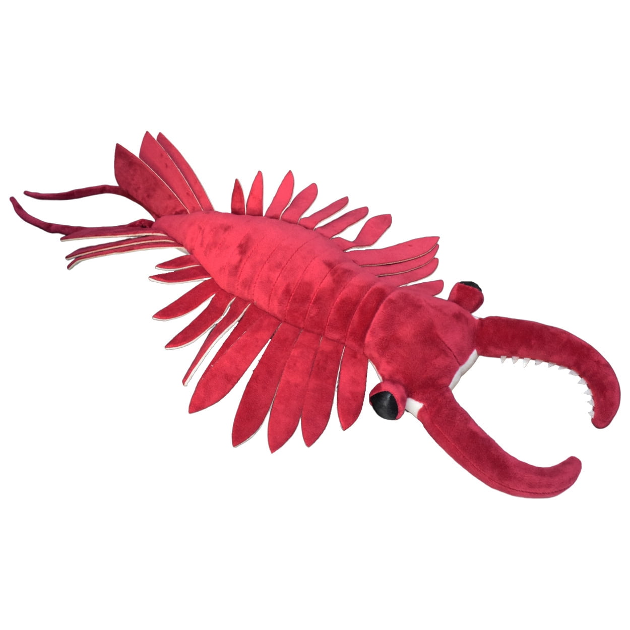 Realistic Anomalocaris Shrimp Stuffed Animal Plush Toy, Lifelike Shrimp ...