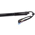 Car Rear Left/Right Liftgate Tailgate Hatch Trunk Lift Support ...