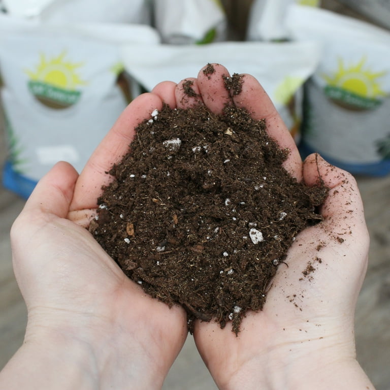 Good Soil For Plants