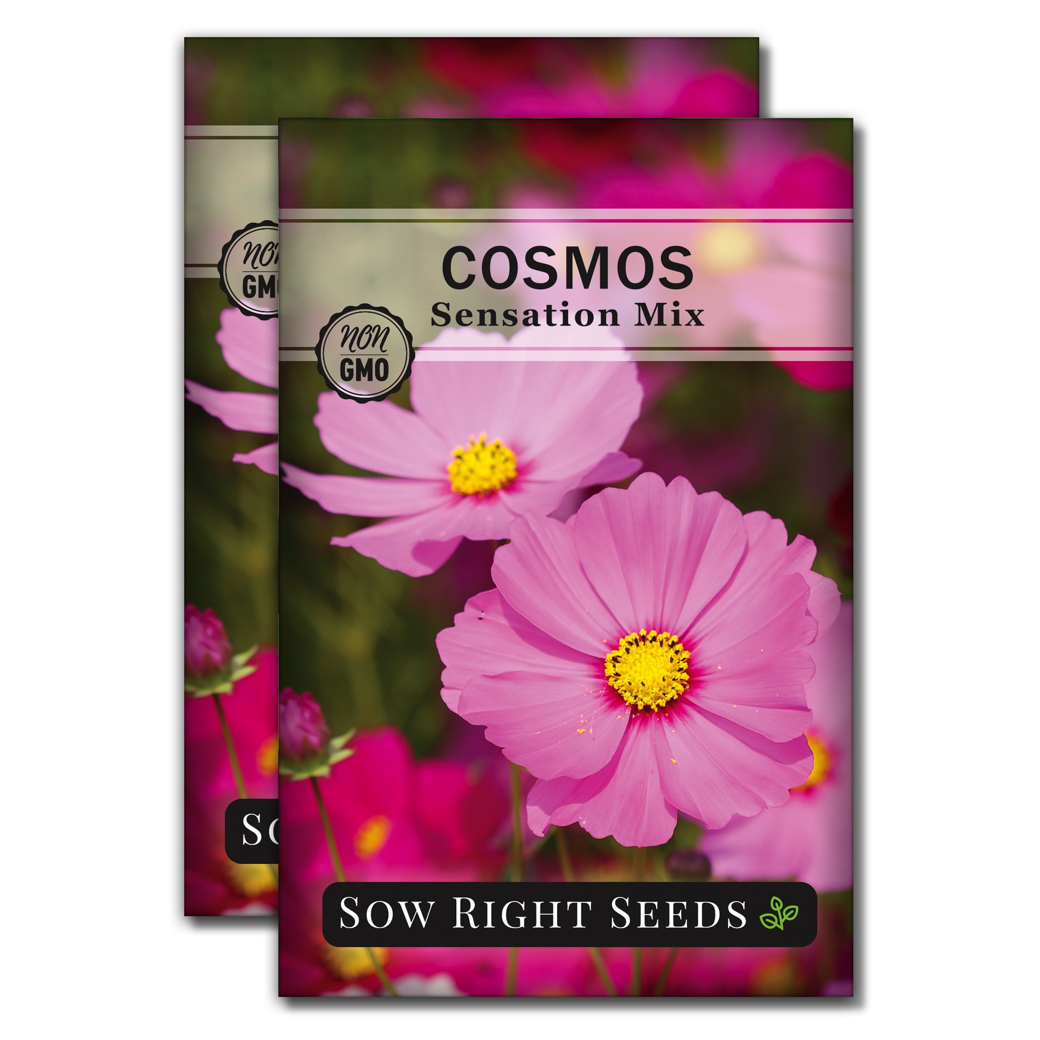 Sensation Mix Cosmos Seeds - Non GMO Heirloom Varieties for your Flower ...