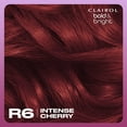 Clairol Bold & Bright Permanent Hair Color Creme, R6 Intense Cherry ...