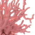 BESTSKY 2026 New Coral Decoration,Realistic Coral Shape Aquarium Decor ...