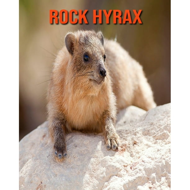 Ice Age 4 Characters Hyrax