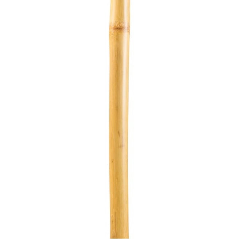 Single Bamboo Stick