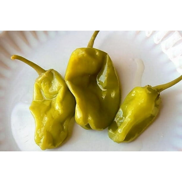 50 GREEK GOLDEN PEPPER Pepperoncini Gold Yellow Capsicum Annuum ...