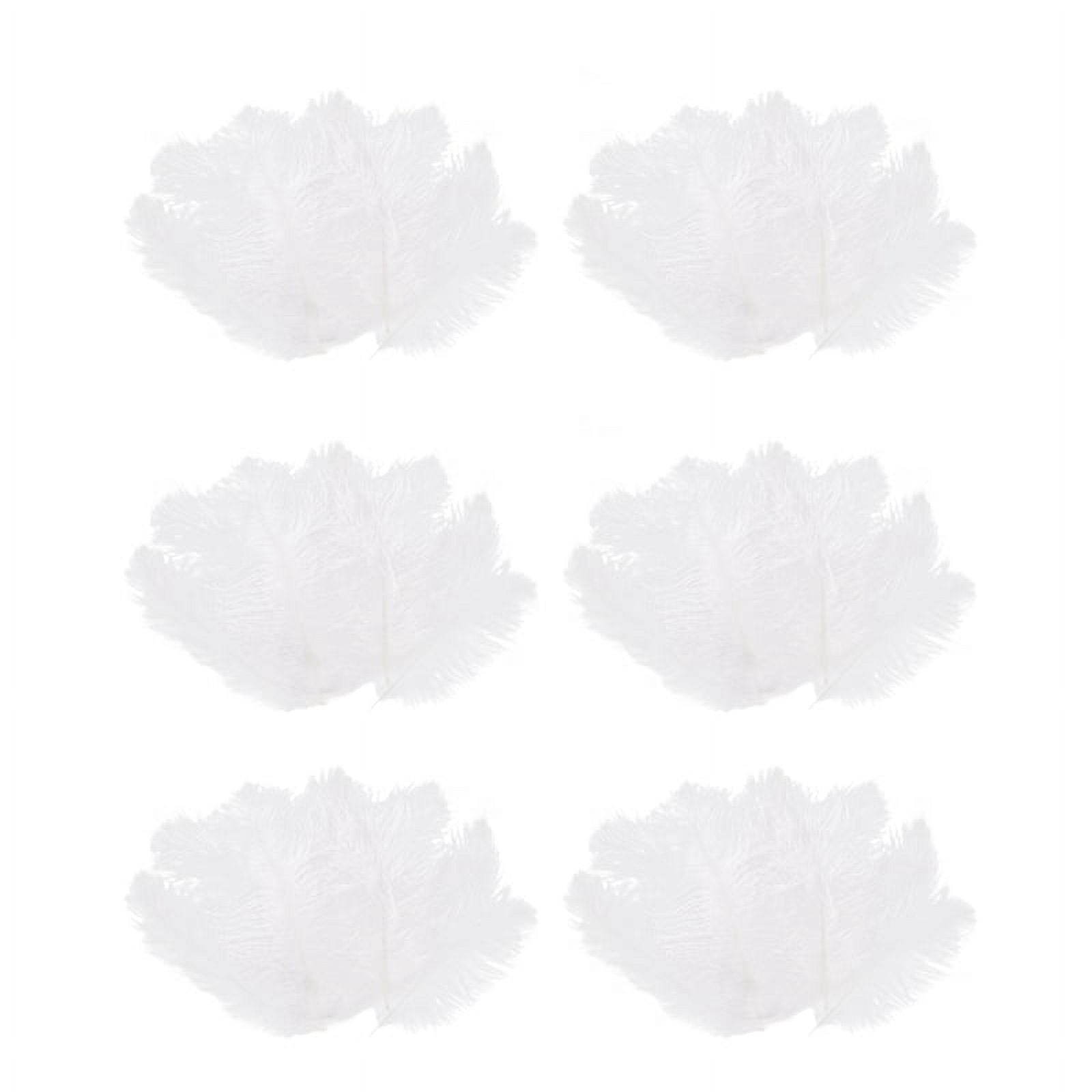 60 Piezas Blanco Avestruz Natural Pluma 20-25cm Boda DIY | Bodega ...