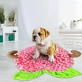 Carpet, Dienrx Snuffle Mat for Dogs Fruit Shape Pet Sniffing Mat ...