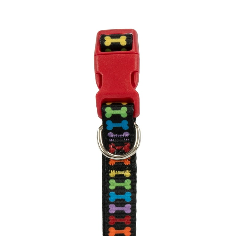 Vibrant Life Bone Print Fashion Dog Collar, Multicolored Vibrant Life Bone Print Fashion Dog Collar, Multicolored