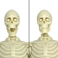 Super Articulated Type S 8 Inch Skeleton Action Figure - Walmart.com