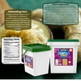 Rani Ginger Cooking Paste 176oz (11lbs) 5kg Bulk ~ Vegan | Gluten Free ...