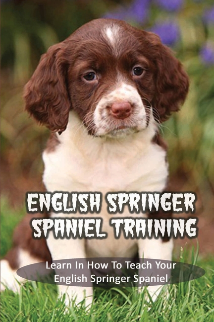 Are Springer Spaniels Hard To Train