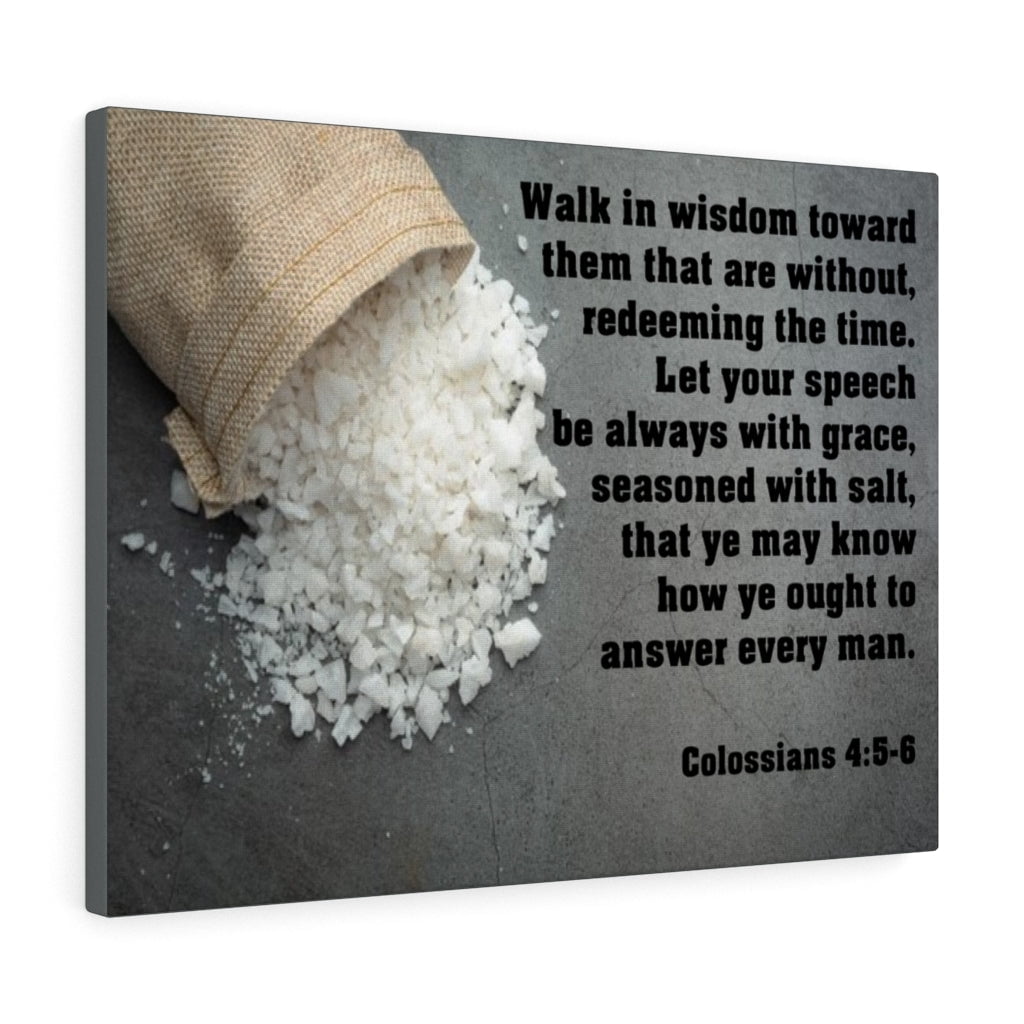 Scripture Walls Walk in Wisdom Colossians 4:5-6 Bible Verse Canvas ...