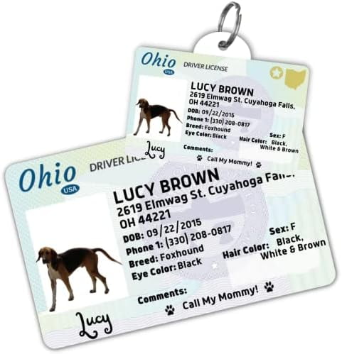 Driver License For Dogs - Dog License Tags Personalized For Pets ...
